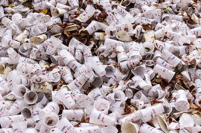 How Is Plastic Harmful To Humans (8 Ways)