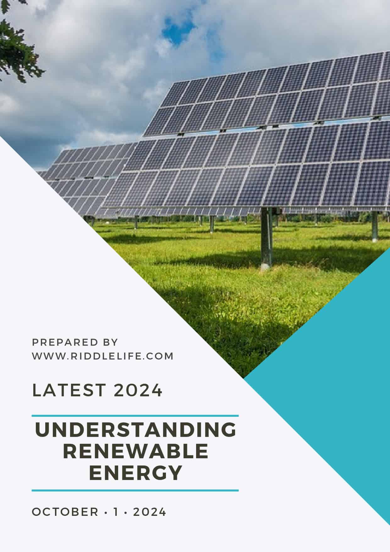 Riddle Life - All About Life And Nature